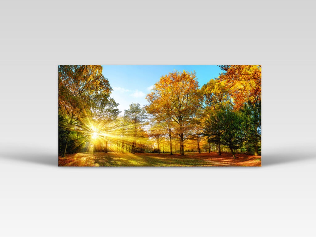 Canvas Prints - Long Rectangle Archives – MyCanvasPrints