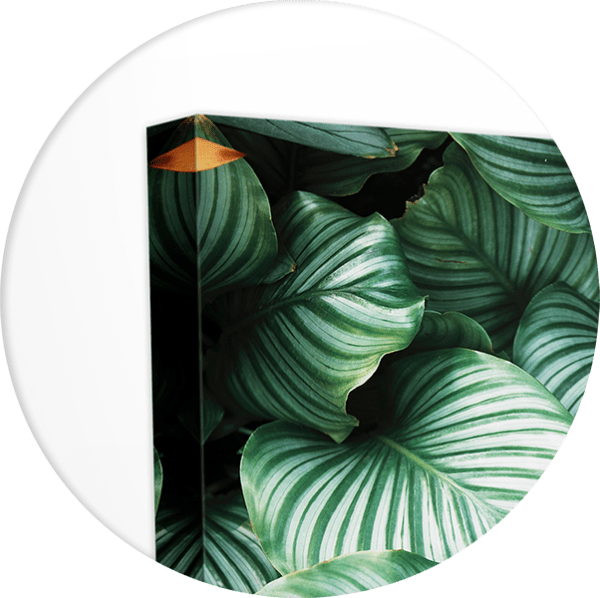 Canvas Prints - Long Rectangle (1 : 2) – MyCanvasPrints