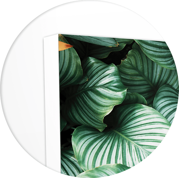 Canvas Prints - Long Rectangle (1 : 2) – MyCanvasPrints